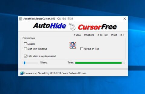 How to Hide Your Windows Mouse from the Desktop | Green Dragon Technology